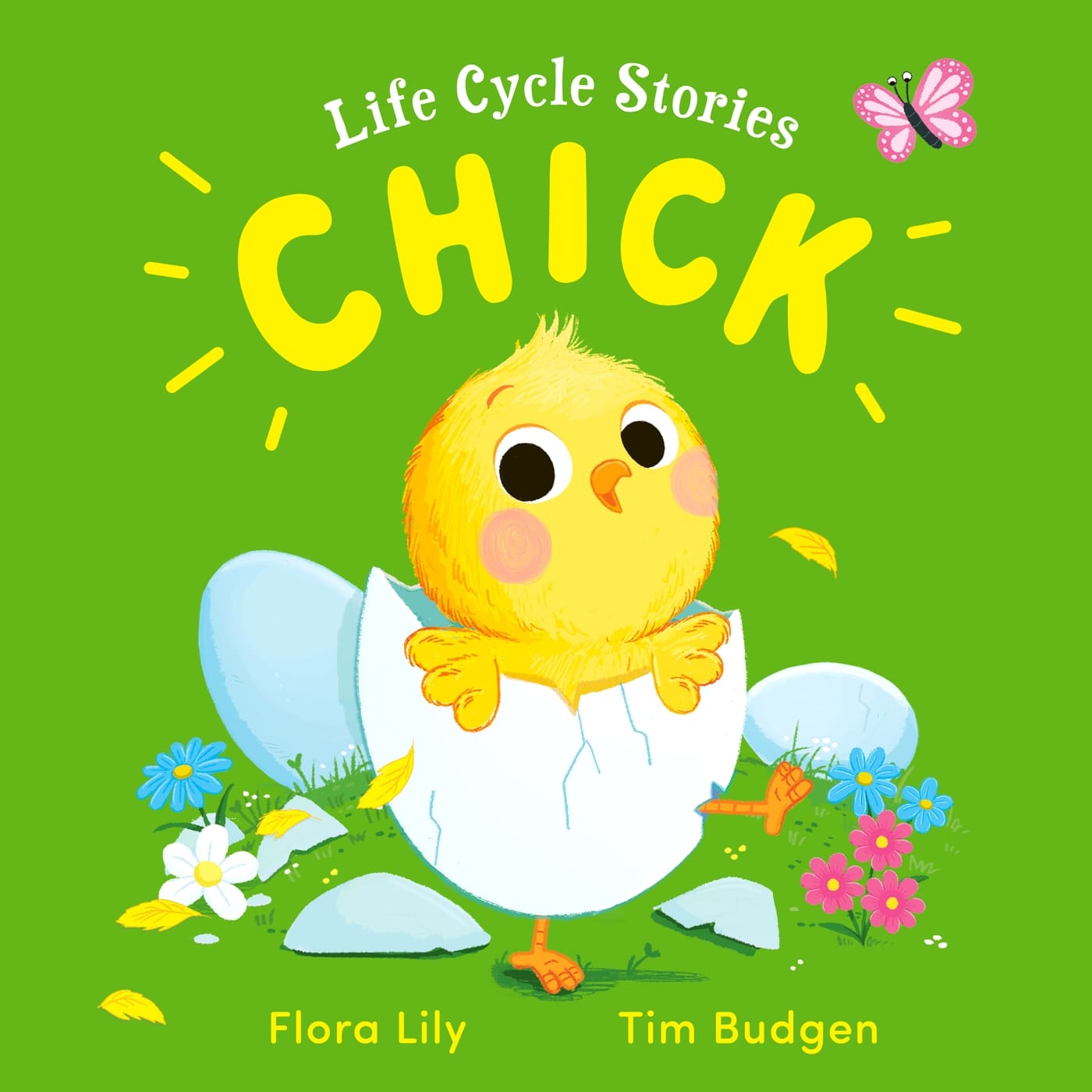Hachette Schools Life Cycle Stories: Chick - Hachette Schools