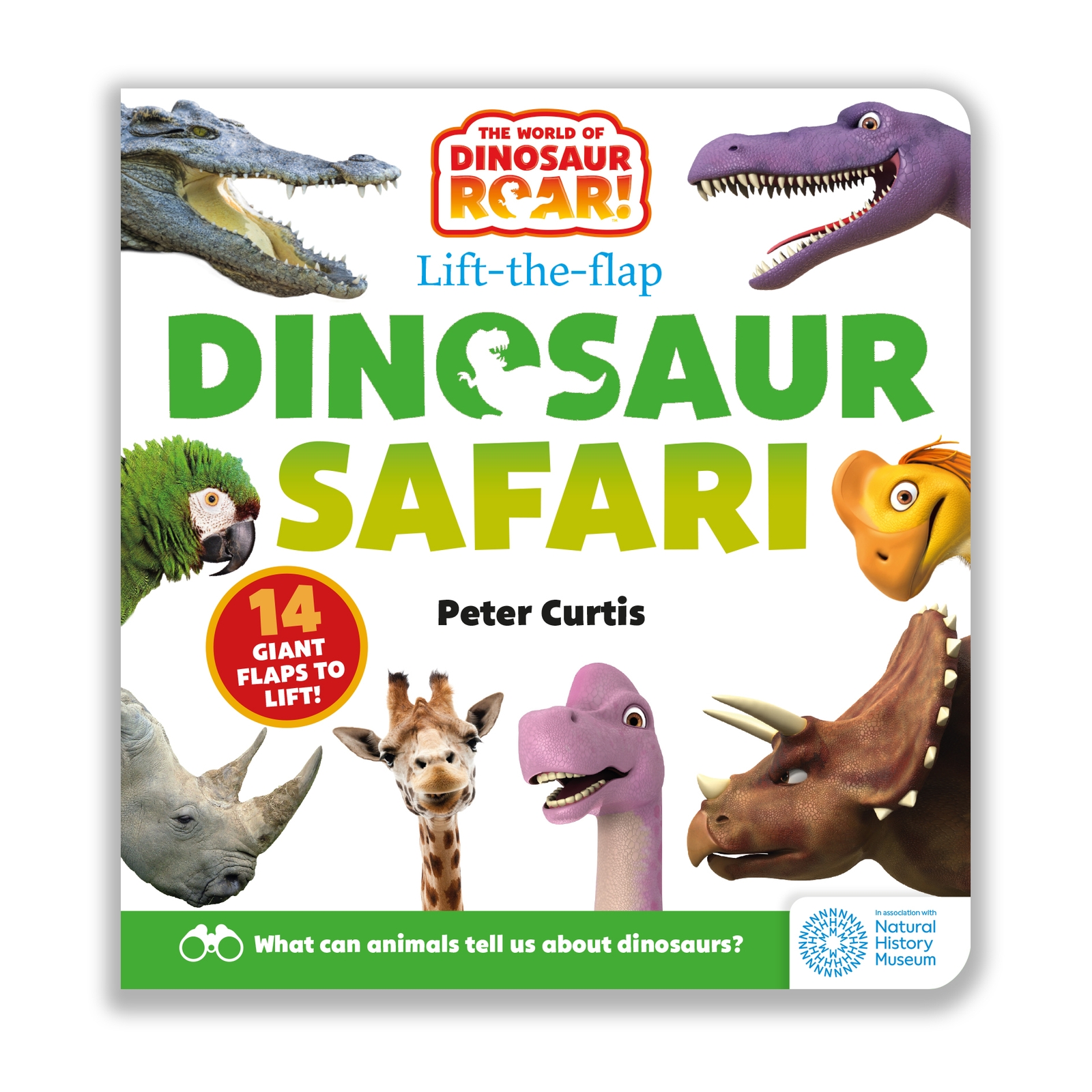 The World of Dinosaur Roar!: Dinosaur Safari: A Lift-the-Flap Book ...
