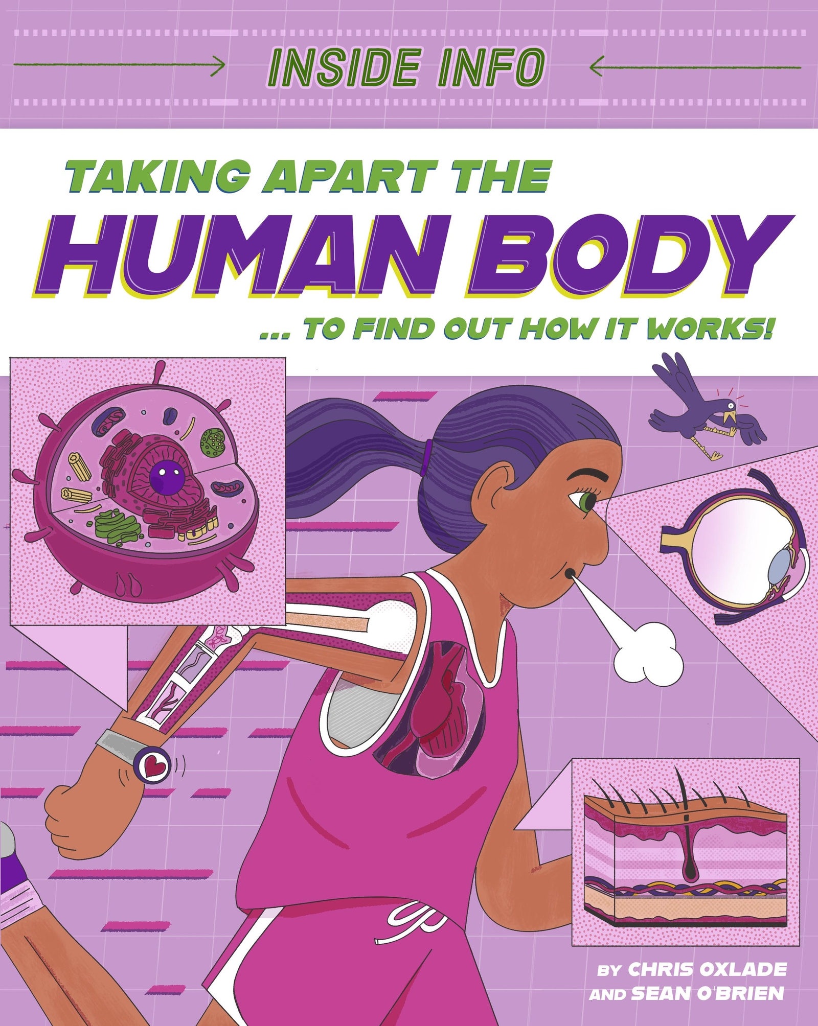 Inside Info: Taking Apart the Human Body - Hachette Schools