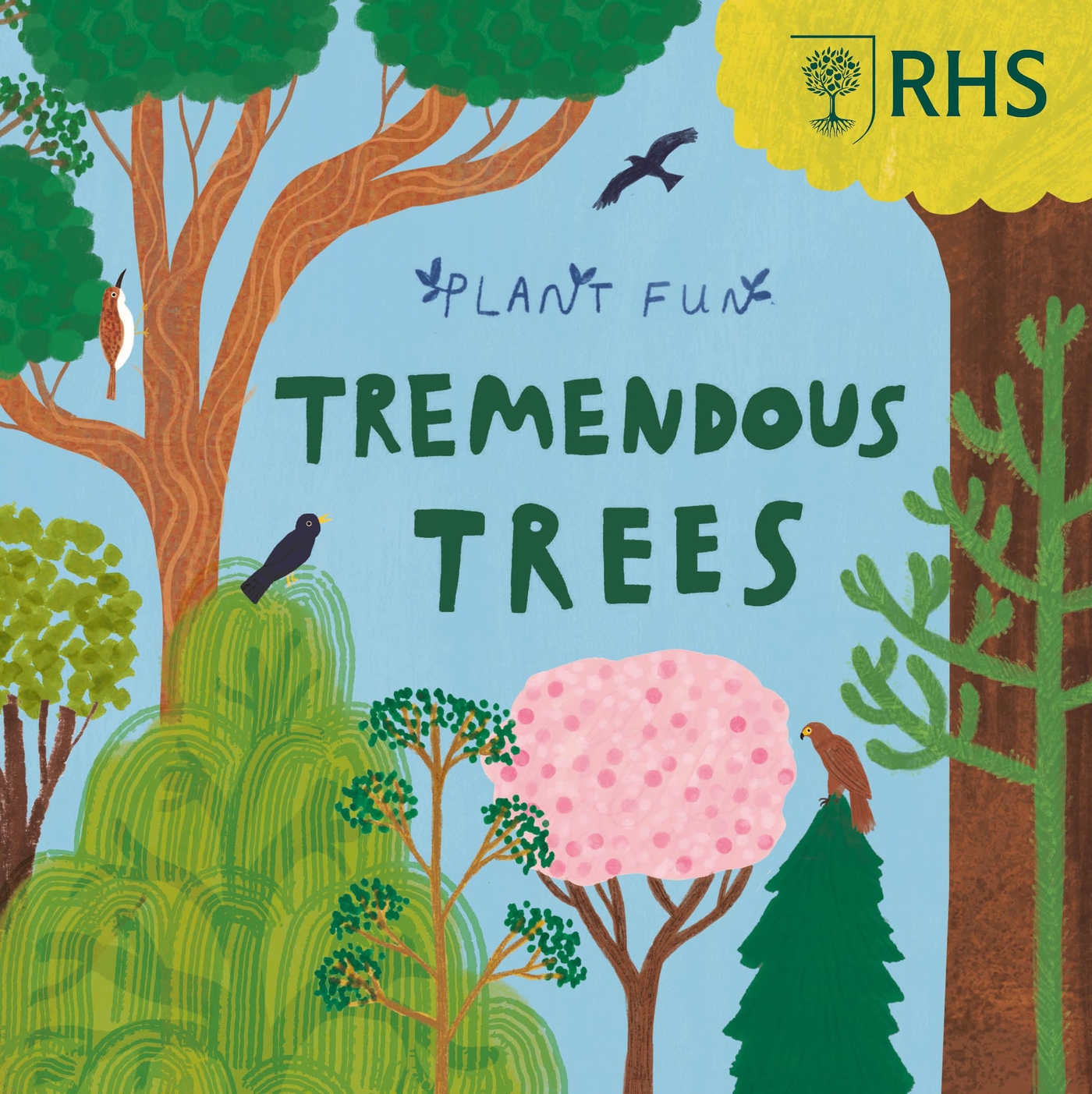 Plant Fun: Tremendous Trees - Hachette Schools